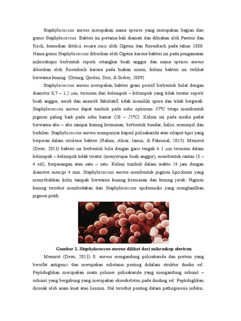 Staphylococcus Aureus Pdf