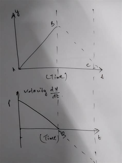draw velocity time graph for a body thrown vertically upwards reaches