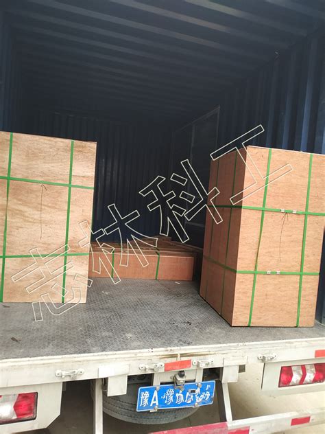 封孔器 矿用封孔器 封孔器厂家 河南志林矿山设备科技有限公司