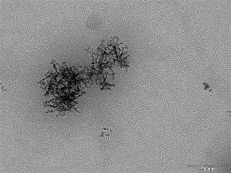 Worm Like Structures Obtained With Rh 0 Hea16bf 4 Download