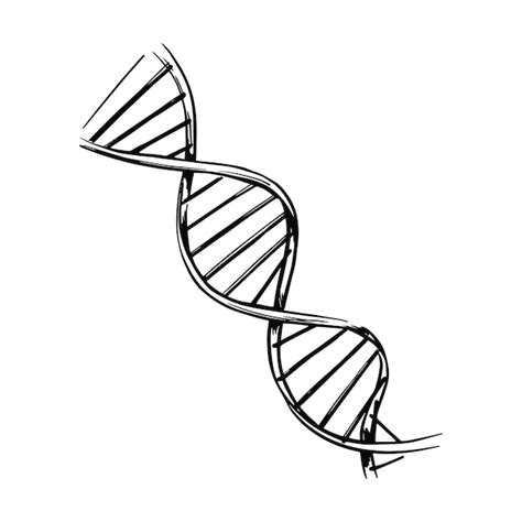 Vectores E Ilustraciones De Adn Dibujo Para Descargar Gratis Freepik