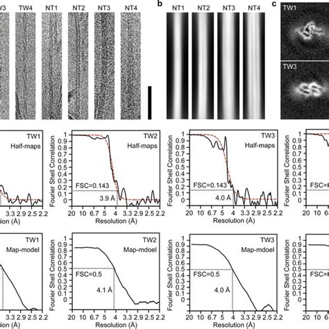 Cryo Em Data Processing A Representative Micrographs Of 8 Identifiable Download Scientific