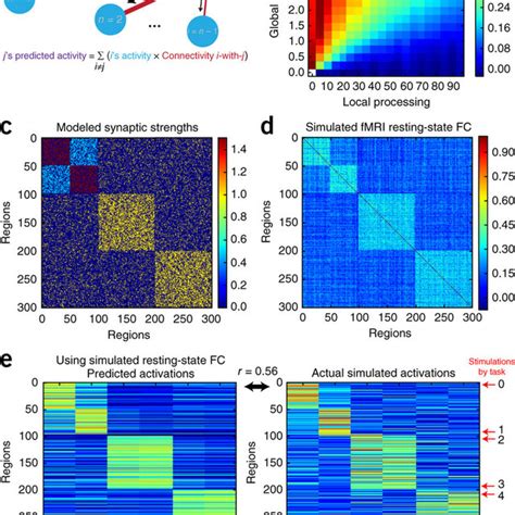 Activity Flow Mapping Predicts Cognitive Task Activations With Download Scientific Diagram