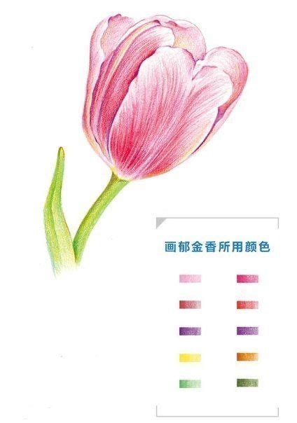 Красивый цветок в акварельной технике