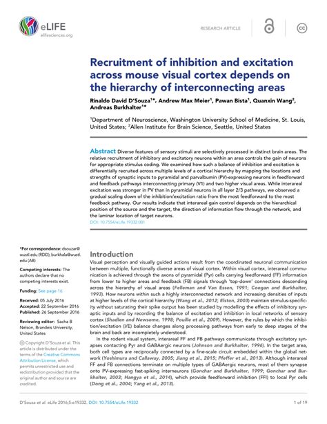 Pdf Recruitment Of Inhibition And Excitation Across Mouse Visual Cortex Depends On The