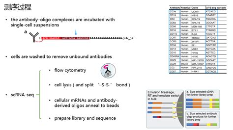单细胞分析实录 1 认识cell hashing csdn博客