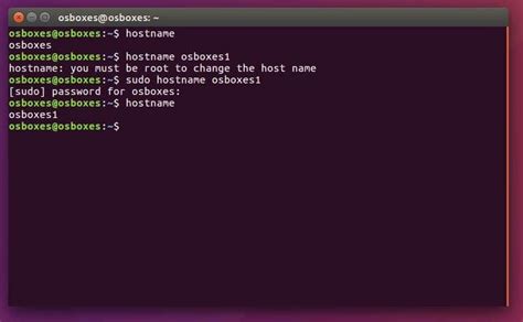 Qué es el hostname y cómo se determina IONOS México