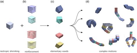 principles of the voxel‐based approach a voxel is made of a an