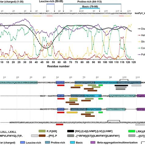 A Sequence And Predicted Structural Characteristics Of The Kestrel