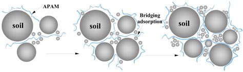 Polymers Free Full Text Effect Of Anionic Polyacrylamide Polymer On