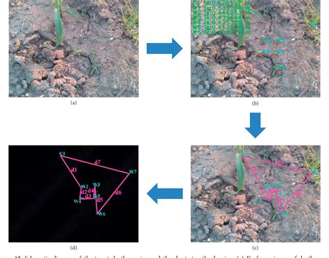 Figure 1 From A Quadratic Traversal Algorithm Of Shortest Weeding Path