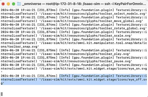 Isaac Sim Container With Runheadlessnativesh V Stuck In Info