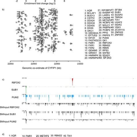 Interaction Of Tubgcp5 With Various Rbps A It Represents The Download Scientific Diagram