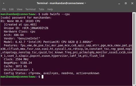 How To Install Hwinfo Hardware Information Tool On Ubuntu CONNECTwww