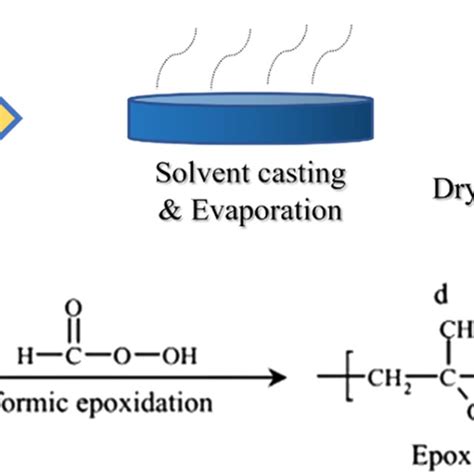 A Solvent Casting Technique And B Performic Epoxidation Of Nr B