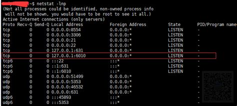 Linux Display环境变量的妙用errorqxcbconnection Could Not Connect To Display Xhost 命令 通过ssh连接显示界面