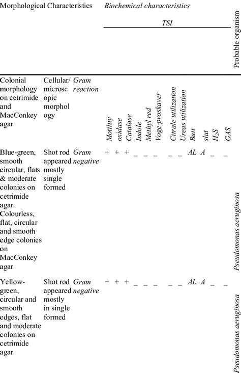 Morphological And Biochemical Characteristics Of Presumptive Download Scientific Diagram