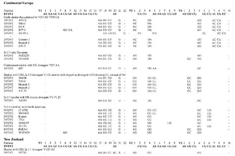 Bvdv2 Palindromic Secondary Structure Sequences And Relation With