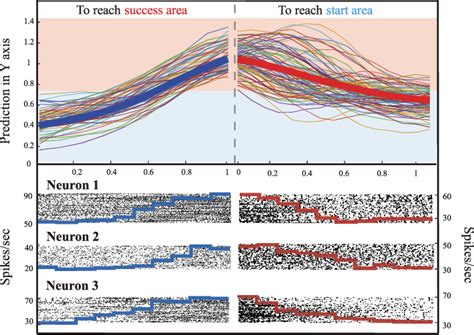 average trajectory top and raster plots bottom of three typical m1