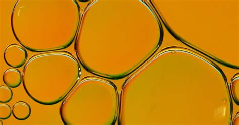 Design Development Zaengle Corp