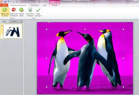 How To Remove Background In PowerPoint