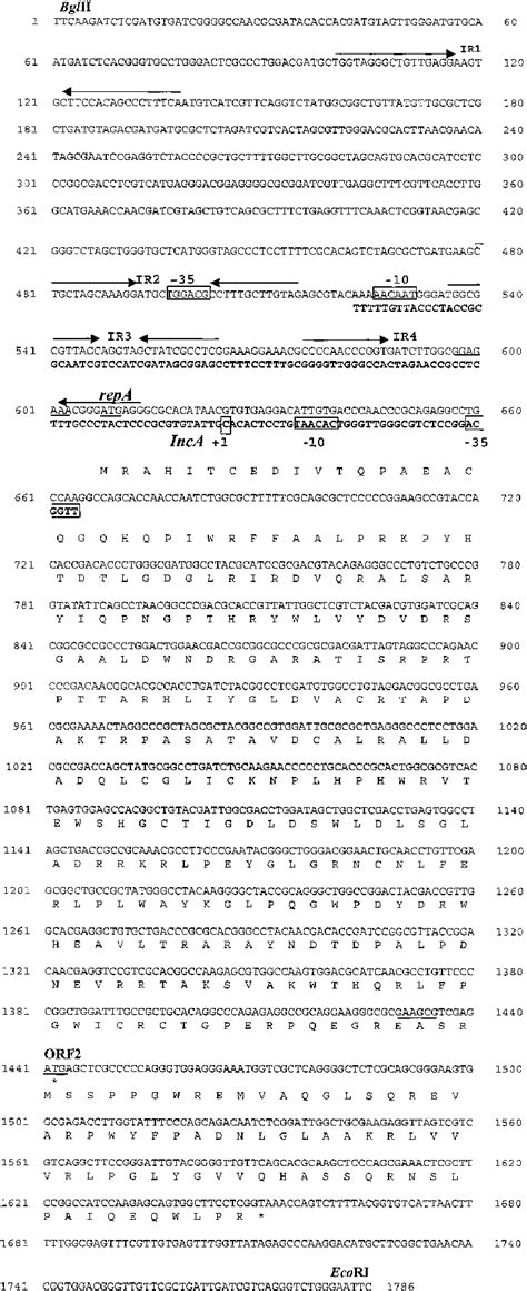 Nucleotide Sequence Of The 1 7 Kb Bglii Ecori Fragment Containing The Download Scientific
