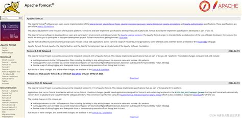 tomcat 的安装 详细教程 tomcat安装 csdn博客