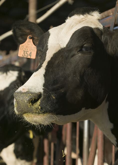 Farm2fork