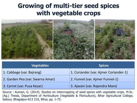 Multi Tier Cropping System Pptx Agriculture Industries Multi Tier Cropping System Pptx Agriculture Industries