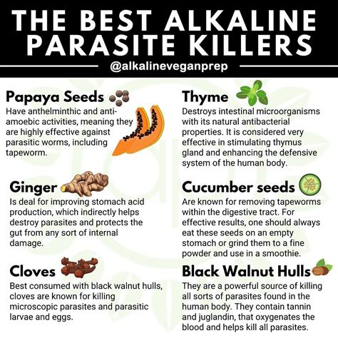 Alkaline Prep On Instagram Because Parasites Come In So Many