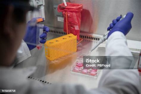 Testing Protocols Virus And Bacterial Infections Including Monkey Pox