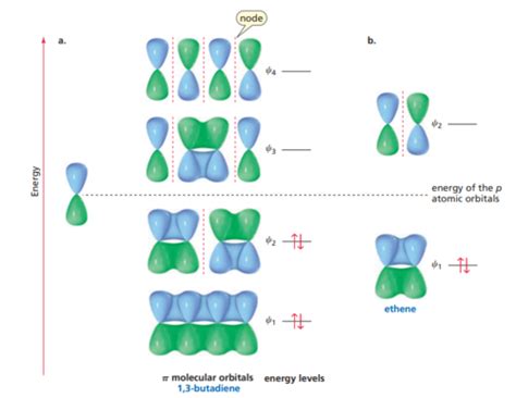 Chapter 16 Conjugated Pi Systems Flashcards Quizlet