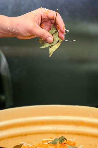 당근과 베이 잎으로 소금에 절인 양배추를 요리하는 과정 손과 야채의 클로즈업 가정 생활에 대한 스톡 사진 및 기타 이미지 가정 생활 가정 주방 가정의 방 Istock