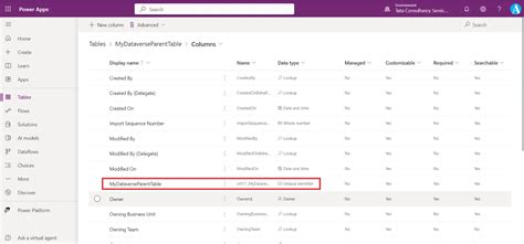 create an alternate key in dataverse ashish coder