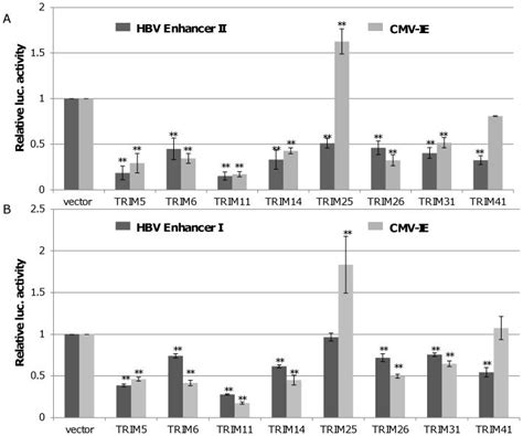 0 2 µg Of Pgl4 10 Hbv Enh Ii Or Pgl4 10 Hbv Enh I Was Co Transfected