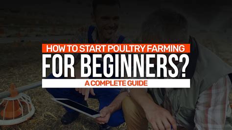 How To Start Poultry Farming For Beginners Full Guide