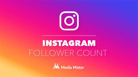 Live Instagram Follower Count Checker Media Mister