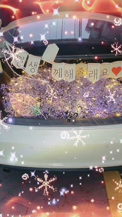 고백 트렁크 프로포즈 이벤트 세팅해드려요 Youtube