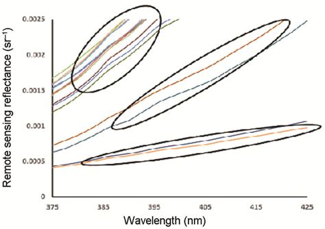 Field Reflectance Spectra Of The Three Different Types Of Cdm
