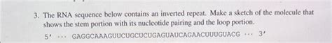 Solved 3 The Rna Sequence Below Contains An Inverted Solved 3 The Rna Sequence Below Contains An Inverted