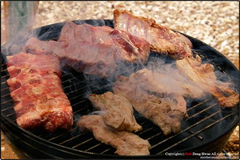 고기는 야외서