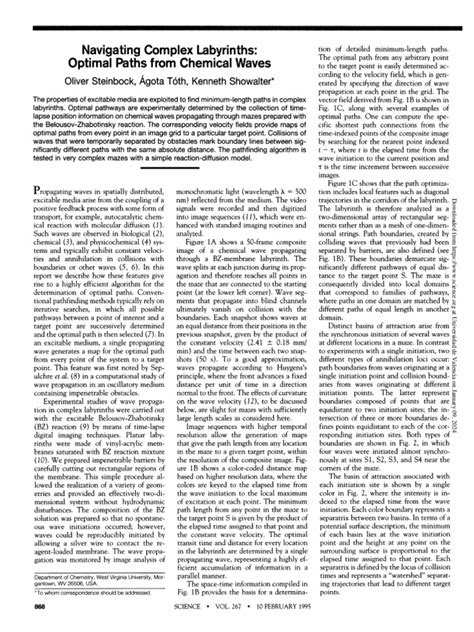 Steinbock Reaction Diffusion Model To Solve A Maze Science 1995 Pdf Waves Physical