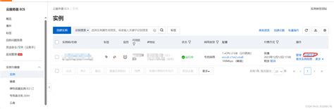 阿里云ecs云服务器docker搭建nacos在云服务器运行nacos怎么访问 Csdn博客