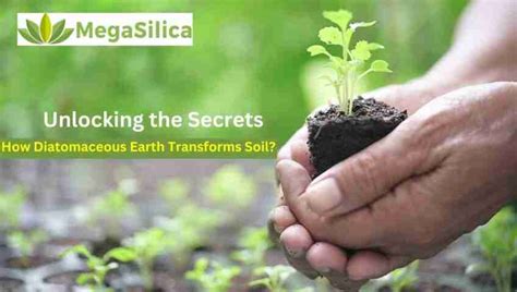 Best Soil Conditioner Call 1 832 663 5541