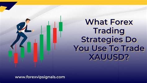 Forex Algorithmic Trading Course Master Strategies For Success By Shayla Khan Jul 2024