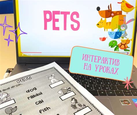 Energy Школа иностранных языков Чебоксары ВКонтакте