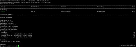 Rabbitmq保姆级安装：linux Centos8系统centos8安装rabbitmq Csdn博客