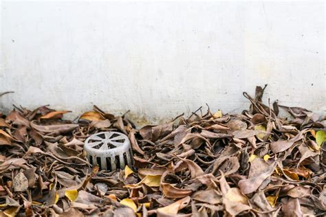 Clearing Blocked Drains Tree Roots Damage In Pipe