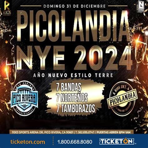PICOLANDIA NYE 2024