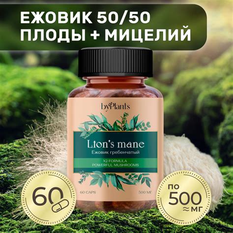 Ежовик Lion's mane + Мицелий Ежевика Гребенчатого в капсулах 60 шт ...